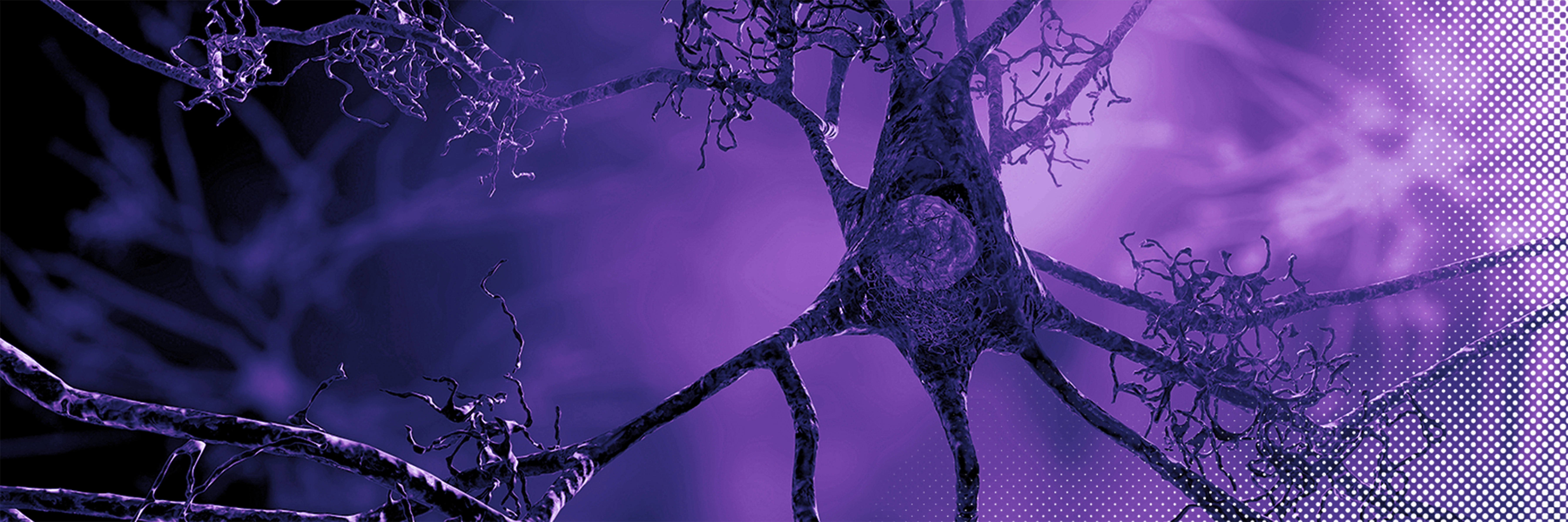 Research, Publications and Grants | Alzheimer's Association®